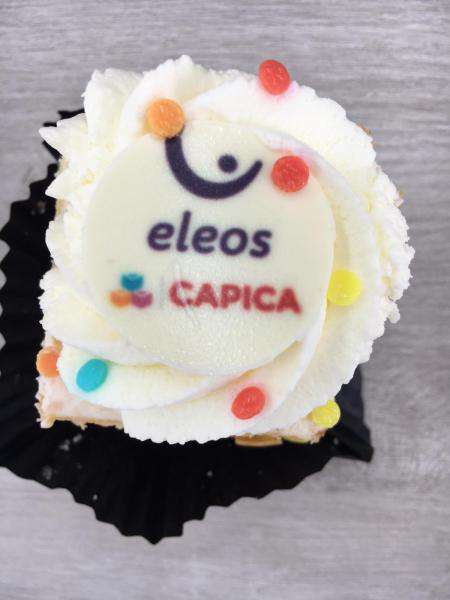 Capica cases