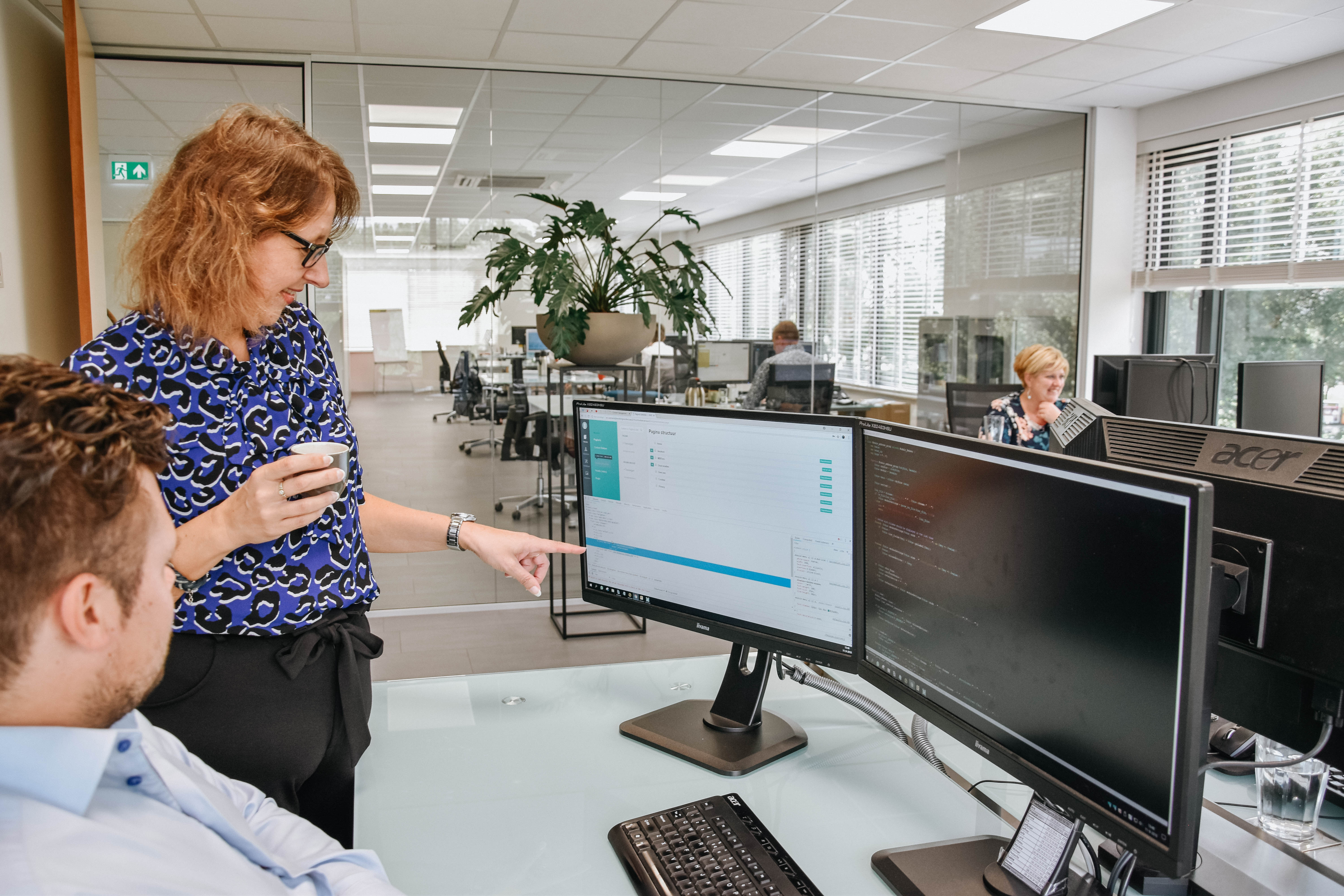Software development | Capica